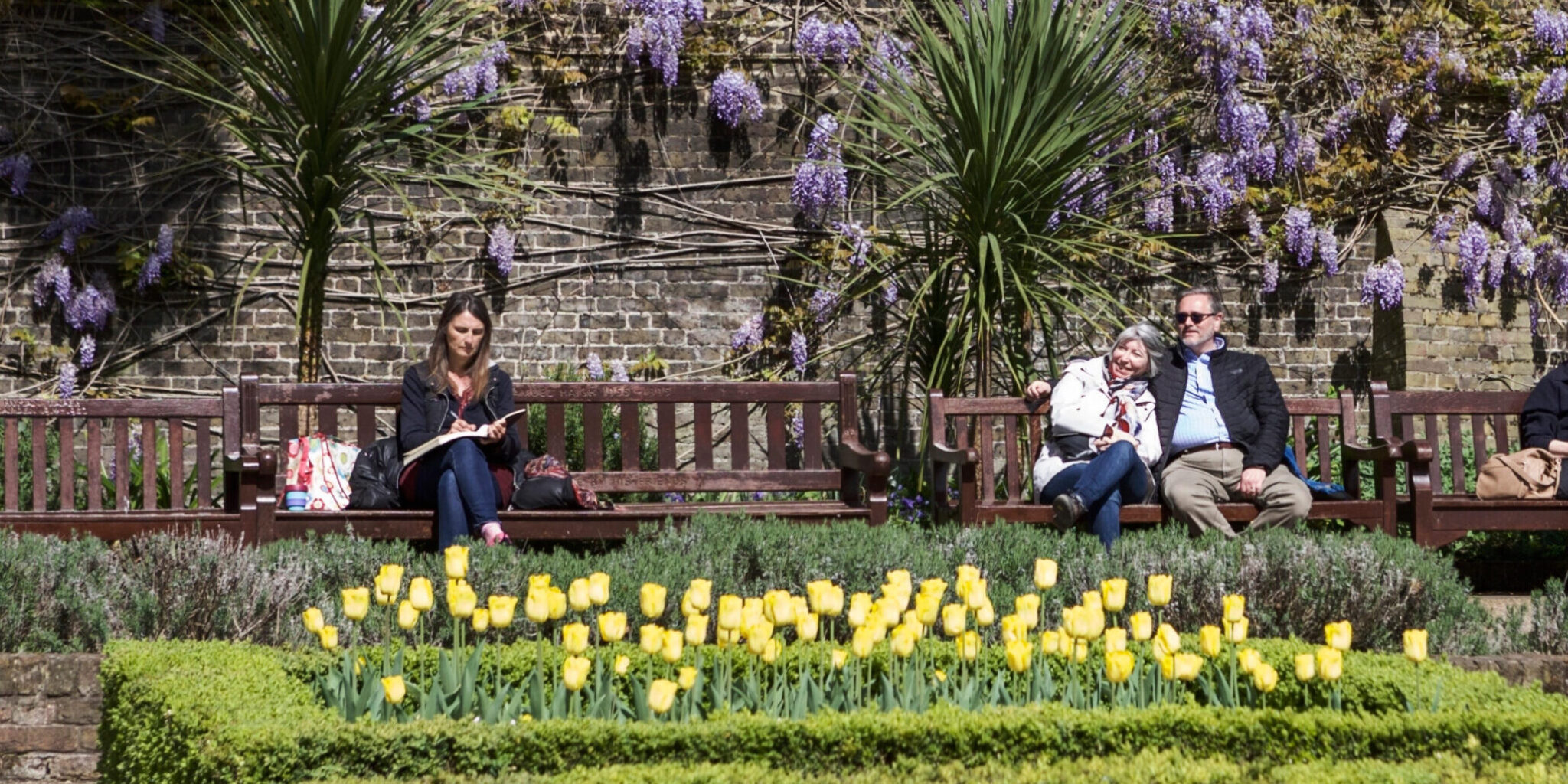 Area Spotlight - Holland Park ⋆ Mountgrange Heritage